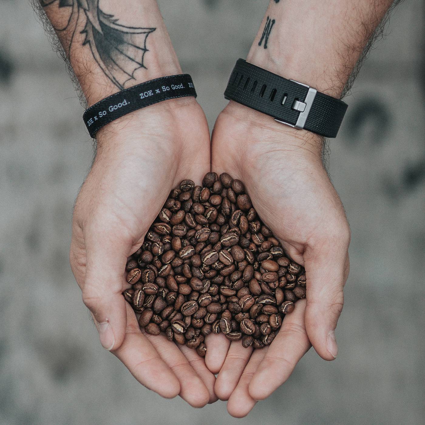Robusta - Caffettiamo Caffè